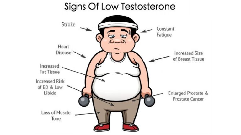 Testosterone Official: Guideline and Tips to Stay Fit & Fab!